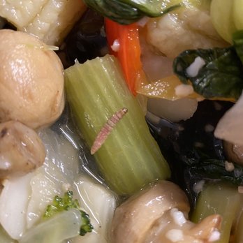 MANDARIN RESTAURANT - Updated December 2025 - 61 Photos & 51 Reviews ...