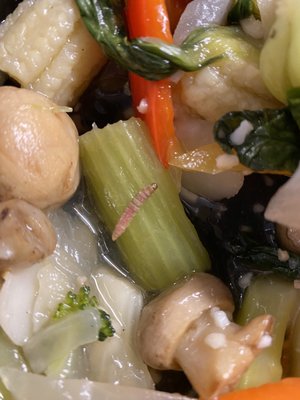 MANDARIN RESTAURANT - Updated December 2024 - 51 Photos & 47 Reviews ...