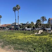 SUNSET CLIFFS NATURAL PARK - 3991 Photos & 1037 Reviews - 1253 Sunset ...