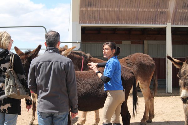 LONGHOPES DONKEY SHELTER - Updated December 2025 - 26 Photos & 11 ...