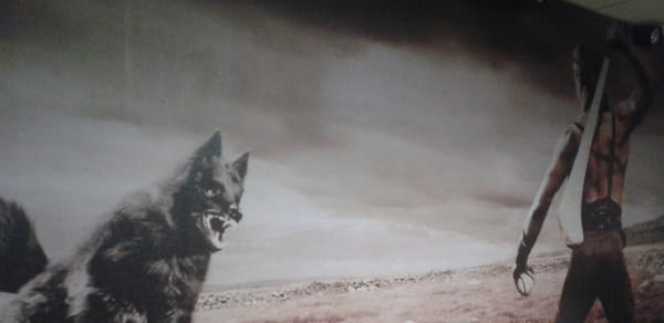 SETANTA GAA CLUB - Updated October 2025 - Ballymun Road, Ballymun, Co ...