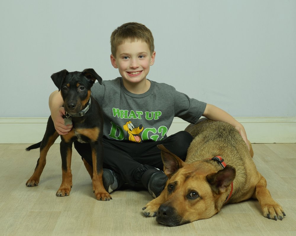 A PATH 4 PAWS - Updated September 2025 - 65 Photos & 51 Reviews - 422 ...