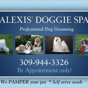 TESKE PET & GARDEN CENTER - Updated September 2025 - 19 Reviews - 2423 ...