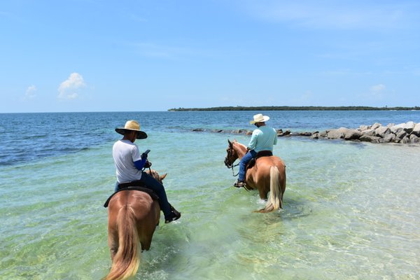 PALOMINO RANCH & TOURS - 21 Photos - 4020 Virginia key Beach park ...
