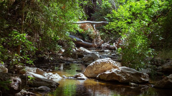 WALNUT CREEK PARK - Updated July 2024 - 185 Photos & 66 Reviews - 1100 ...