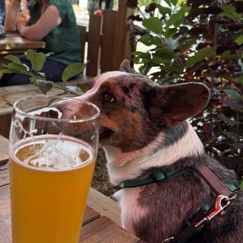 PRAIRIE SUN BREWERY - Updated January 2026 - 58 Photos & 18 Reviews ...