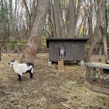 POWERS FARM MARKET - Updated October 2024 - 248 Photos & 46 Reviews ...