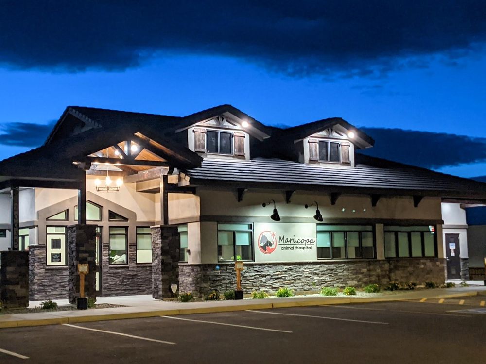 MARICOPA ANIMAL HOSPITAL - Updated April 2026 - 21 Photos & 85 Reviews ...