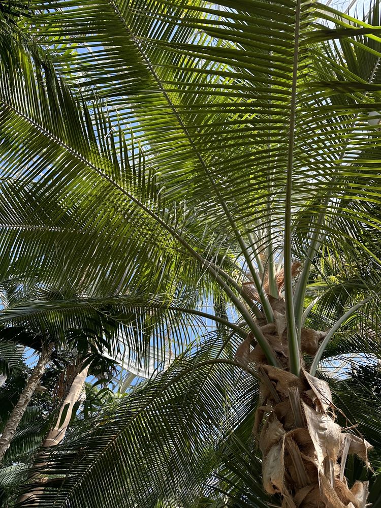 COMO PARK ZOO AND CONSERVATORY - Updated May 2024 - 1208 Photos & 365 ...