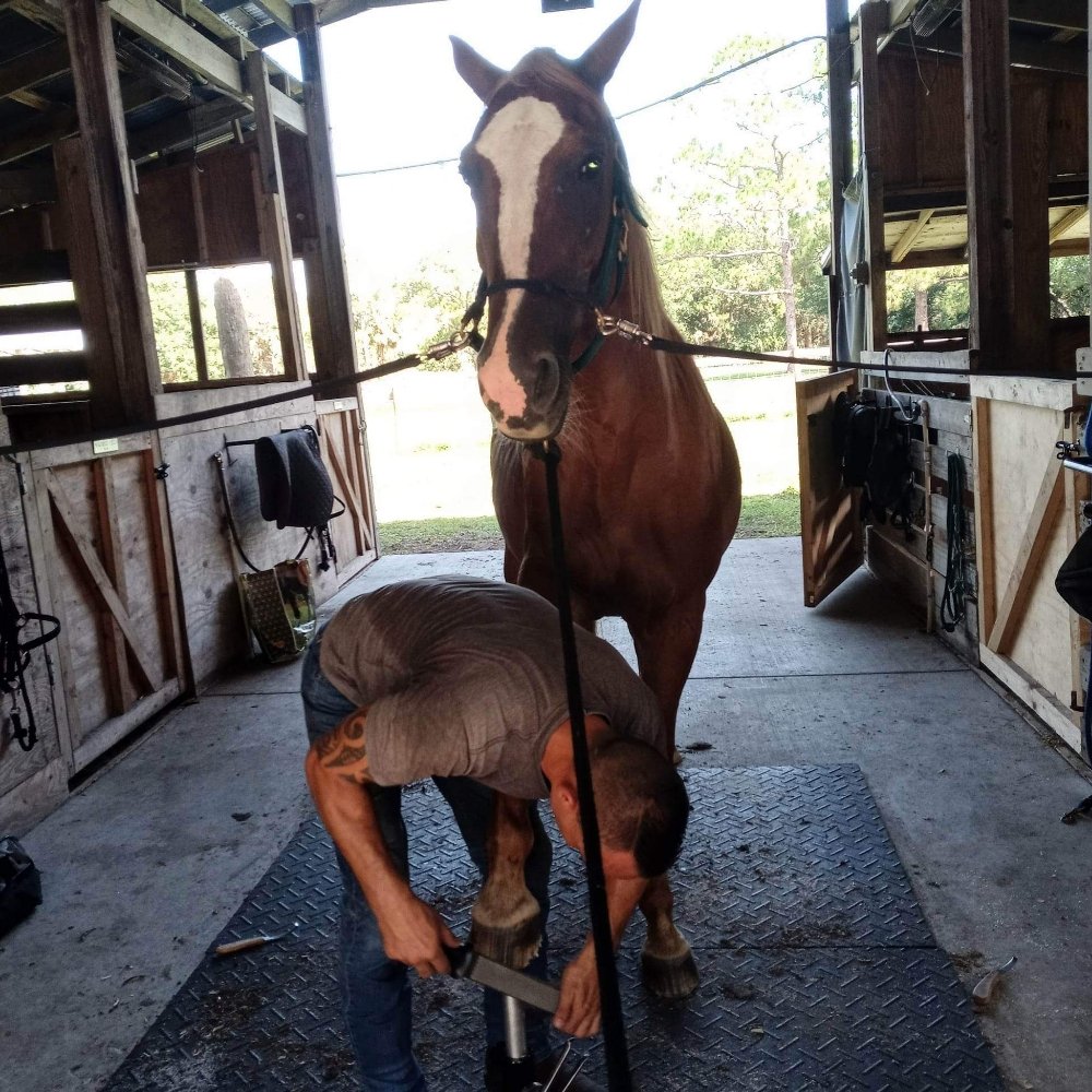 RYAN JOSEPH FARRIER SERVICES - Updated June 2024 - Request Information - 30 Photos - Fort Pierce ...