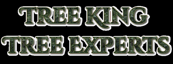 TREE KING TREE EXPERTS - Updated October 2025 - 80 Photos - Saint Paul ...