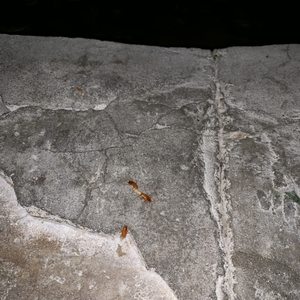 THE COMMONS AT CALABASAS - 276 Photos & 103 Reviews - Shopping Centers ...