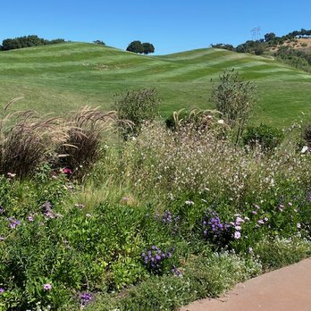 CINNABAR HILLS GOLF CLUB - Updated December 2025 - 508 Photos & 367 ...
