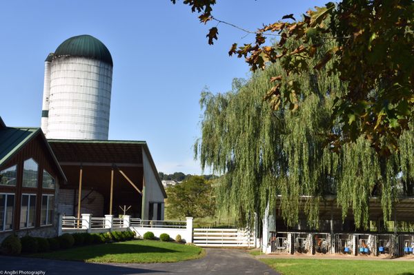 LAPP VALLEY FARMS - 169 Photos & 110 Reviews - 244 Mentzer Rd, New ...