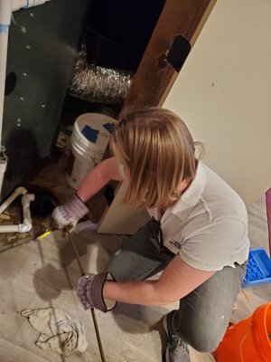 Drain Terrier - Updated October 2025 - 41 Photos - 93 Reviews - 6515 ...