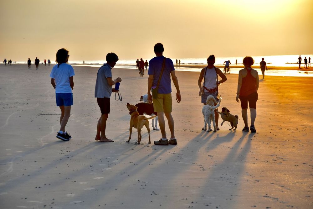 DAVID PAUTLER - Updated October 2025 - 75 Photos - 24 New Orleans ...