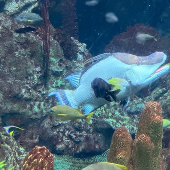 ABQ BIOPARK BOTANIC GARDEN - Updated May 2025 - 972 Photos & 166 ...