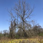 STIGLMEIER PARK - 176 Photos & 33 Reviews - 500 Losson Rd, Cheektowaga ...