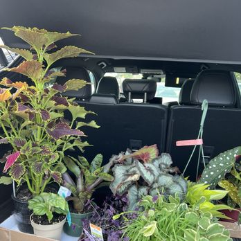 OTT’S EXOTIC PLANTS - Updated December 2025 - 322 Photos & 121 Reviews ...