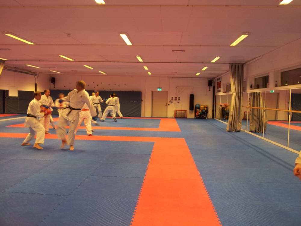MIZUCHI KARATE KLUBB - Dønskiveien 43 C, Gjettum, Norway - Karate ...