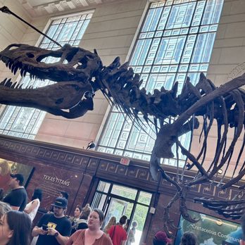 TEXAS SCIENCE & NATURAL HISTORY MUSEUM - Updated November 2024 - 137 ...