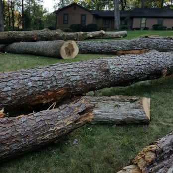 RYAN TREE SERVICE - Updated October 2025 - 11 Photos & 26 Reviews ...