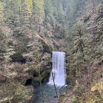 SILVER FALLS STATE PARK - 1500 Photos & 322 Reviews - 20024 Silver ...