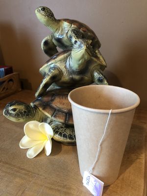 THE SALTY TURTLE FLOAT CENTER - Updated October 2025 - 24 Photos & 12 ...