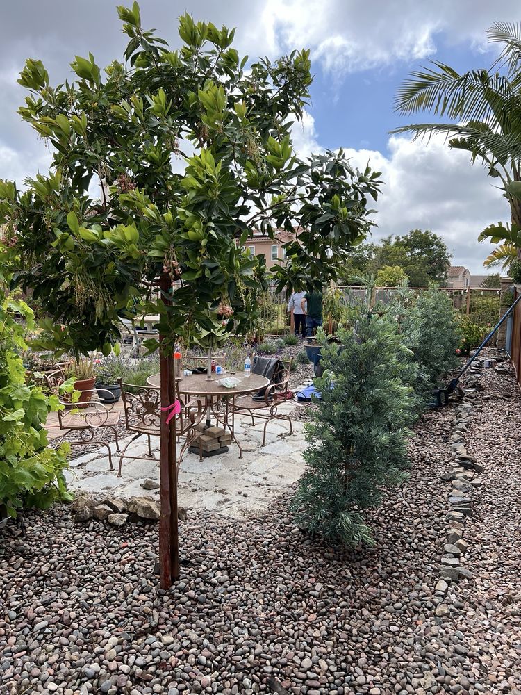 THE STANDARD DESIGN GROUP - TEMP. CLOSED - Updated October 2025 - 63 ...