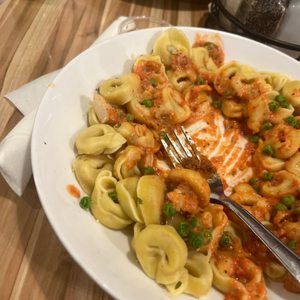 CIBO BY STEFANO’S - 95 Photos & 68 Reviews - 1270 Celebration Blvd ...