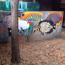 VALLEJO JOHN F KENNEDY LIBRARY - 43 Photos & 59 Reviews - 505 Santa ...