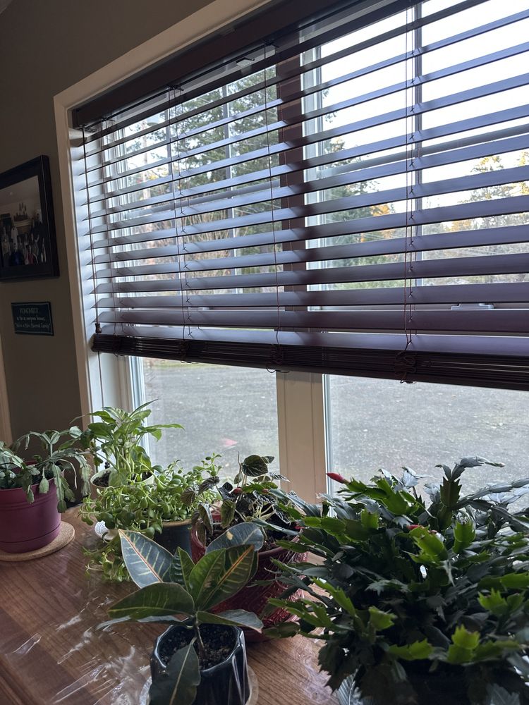 BLINDS AT THE SPA - Updated June 2025 - Veneta, Oregon - Shades ...