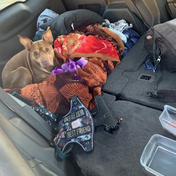 LONG BEACH ANIMAL CARE SERVICES - Updated December 2025 - 104 Photos ...