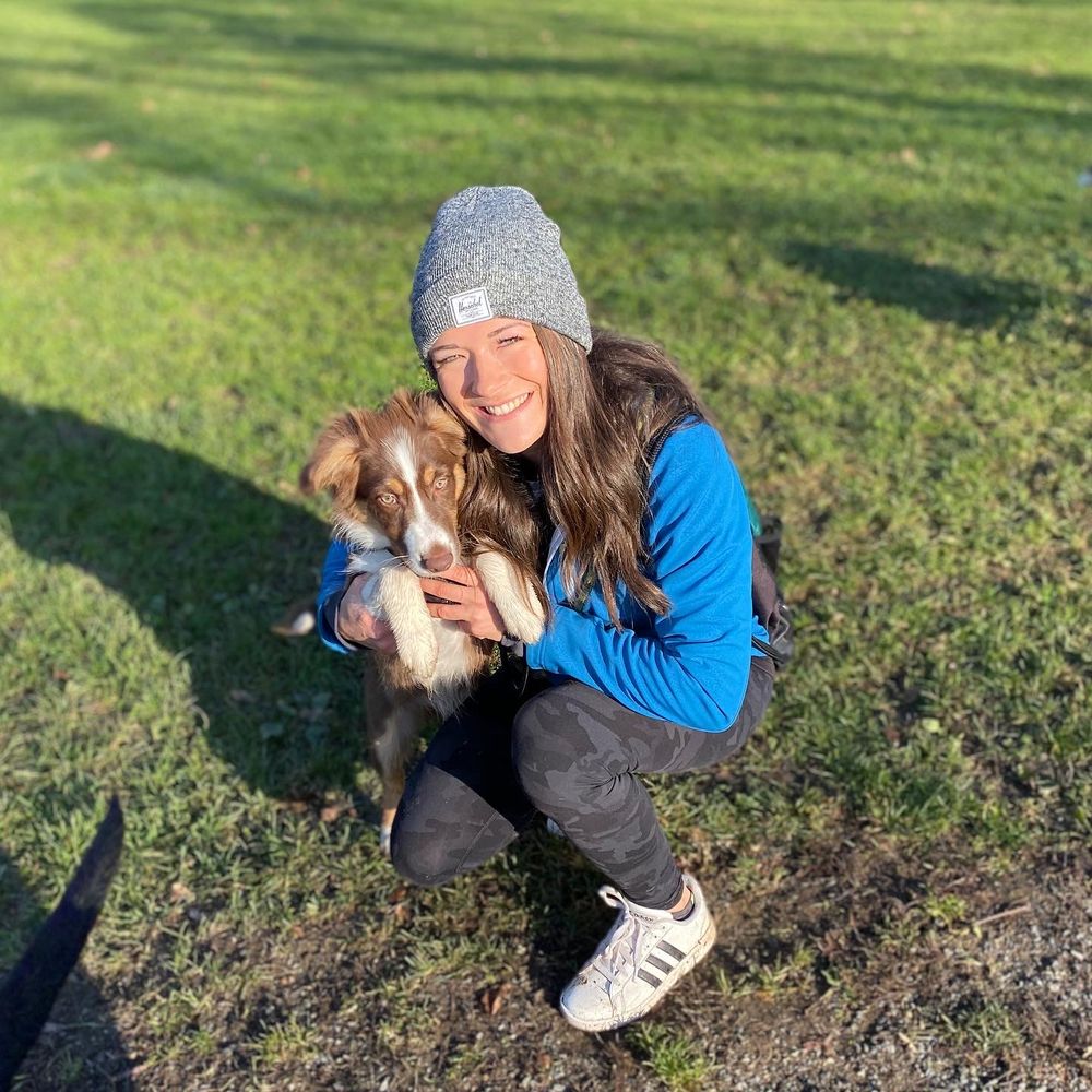 TRAIL OF PAWS - Updated December 2025 - 15 Photos - Smithers, British ...