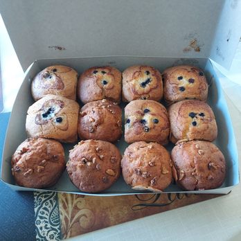 PRONTO DONUTS - Updated February 2025 - 256 Photos & 192 Reviews - 555 ...