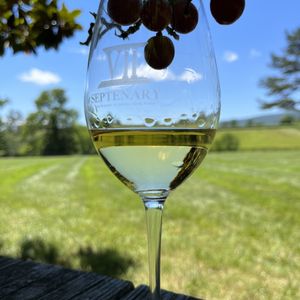 SEPTENARY WINERY AT SEVEN OAKS FARM - 67 Photos & 53 Reviews - 200 ...