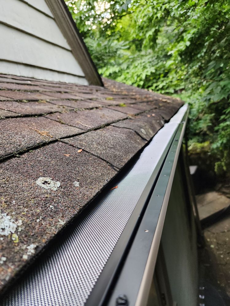 STERN GUTTERS - Updated October 2025 - 25 Photos - 317 Valley St, South ...