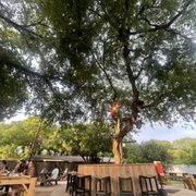 THE LITTLE DARLIN’ - 346 Photos & 424 Reviews - American (Traditional ...