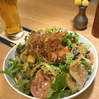 ZOKU - Updated January 2025 - 297 Photos & 53 Reviews - 261 Avenida Del ...