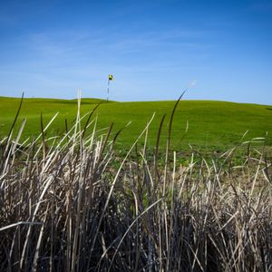 POPLAR CREEK GOLF COURSE - Updated February 2025 - 66 Photos & 171 ...