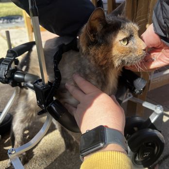 WHEAT RIDGE ANIMAL HOSPITAL - Updated 2024 - 47 Photos & 324 Reviews ...