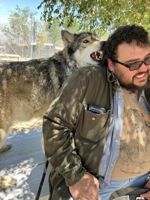 WOLF MOUNTAIN SANCTUARY - Updated December 2025 - 457 Photos & 190 ...