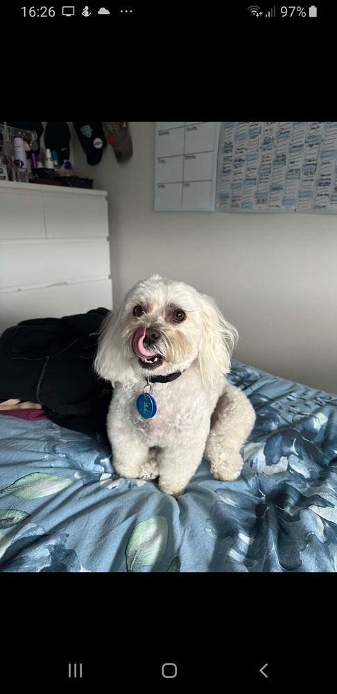 ANIMATES WESTGATE - Updated March 2025 - 34 Maki St, Auckland, New ...