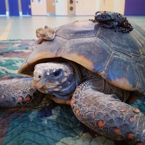 ULTIMATE TREASURE HUNTS - Updated August 2024 - Exeter, New Hampshire ...