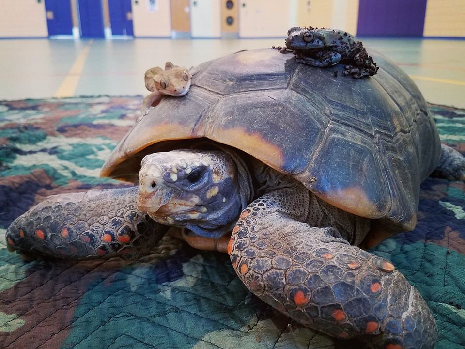 CURIOUS CREATURES - Updated August 2024 - 41 Photos & 15 Reviews - 106 ...