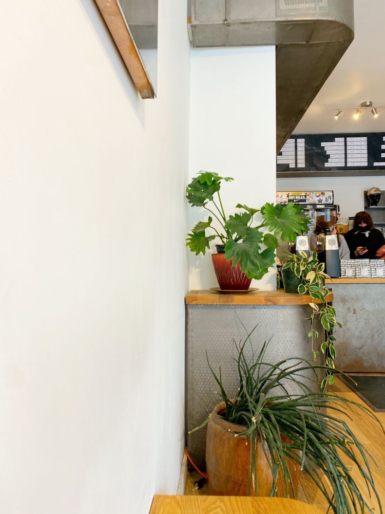SAM JAMES COFFEE BAR - 10 Photos - 141 Ossington Avenue, Toronto ...