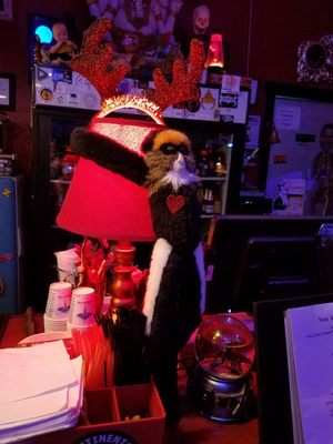 SLY GROG LOUNGE - Updated February 2025 - 119 Photos & 17 Reviews - 271 ...