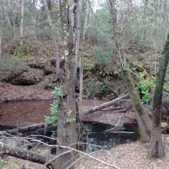 LEON SINKS GEOLOGICAL AREA - Updated July 2025 - 52 Photos & 15 Reviews ...