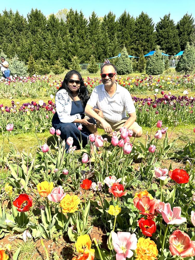 Yule Forest, Stockbridge | Roadtrippers