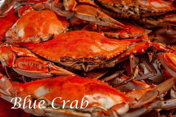 RUSTY CRAB DADDY - Updated September 2024 - 174 Photos & 120 Reviews ...